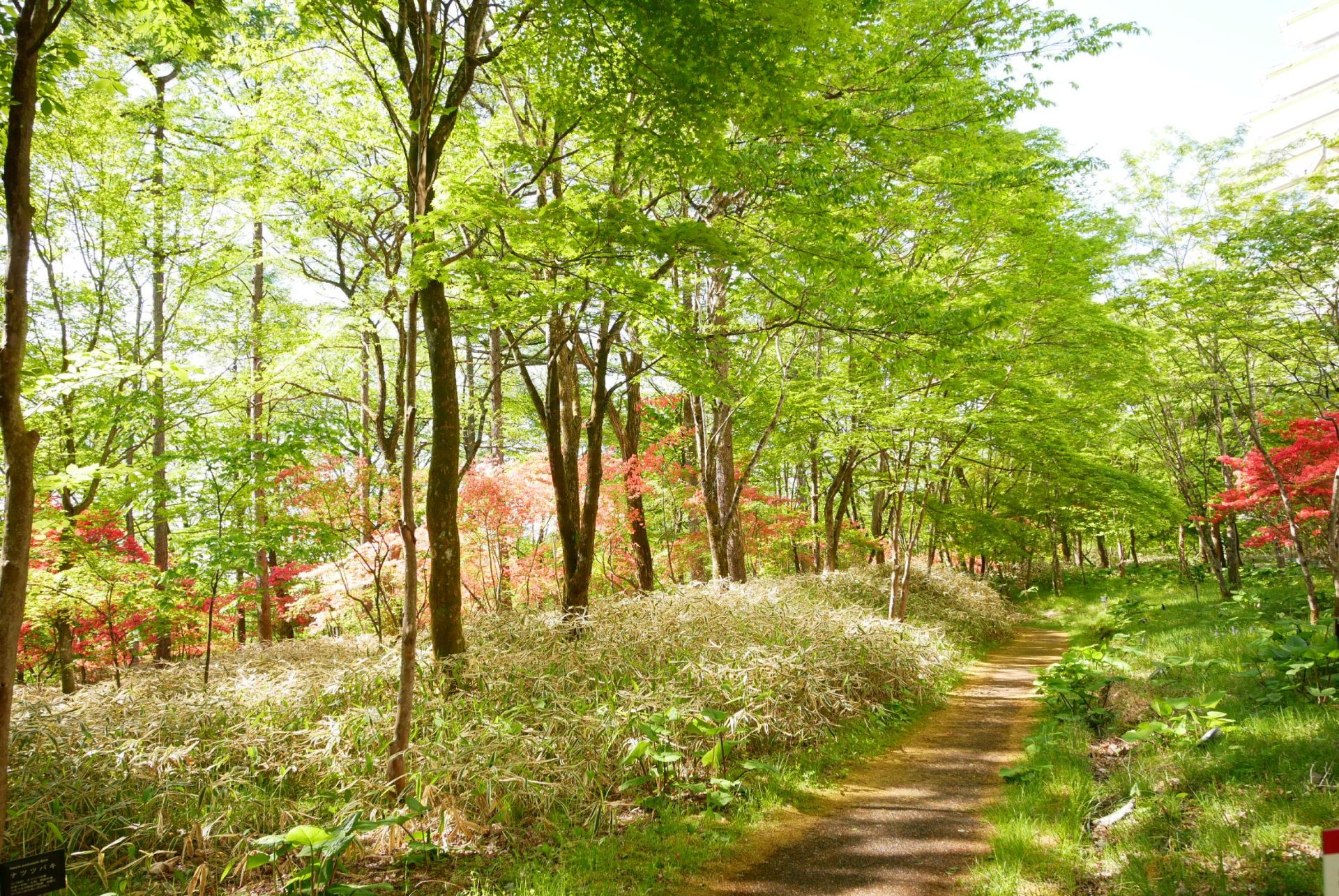 TAOYA日光霧降宿泊記・ラウンジほか無料サービスがいっぱい！ - たびハピ